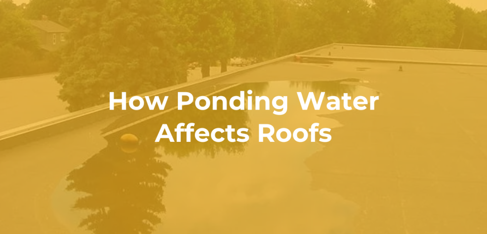 How Ponding Water Affects Roofs - Aspen Contracting